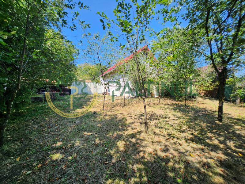 Casa Nucet, 864 mp teren cu pomi fructiferi la 21 km de Sibiu ...