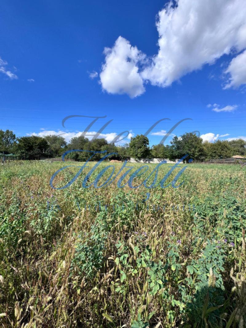 Oportunitate investitie, teren intravilan zona Terapia 2877mp, Cluj ...