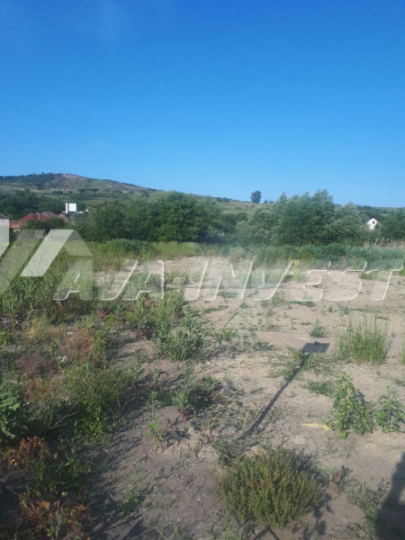 Teren strada Ion Creanga, comuna Chinteni, Cluj-Napoca - CI2579759 ...