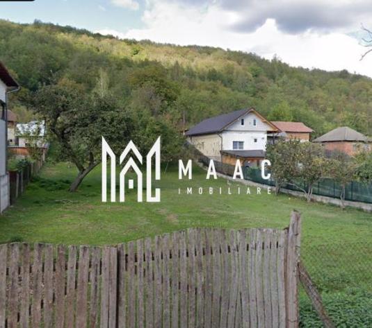 Teren Intravilan 10.000 mp | Livada + Padure de salcam | Barbatesti ...