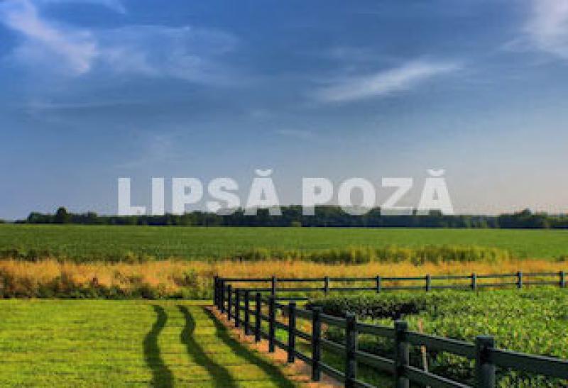 Teren - Scheia, 5000 mp La vanzare, Suceava - CI2642643 ...