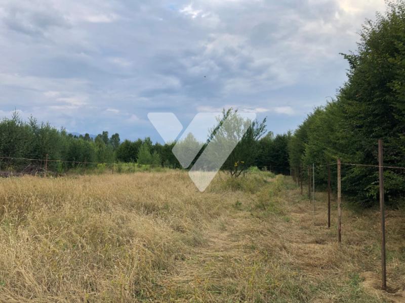 Teren Intravilan Valea Avrigului, 2000 mp, Sibiu - CI2643512 ...