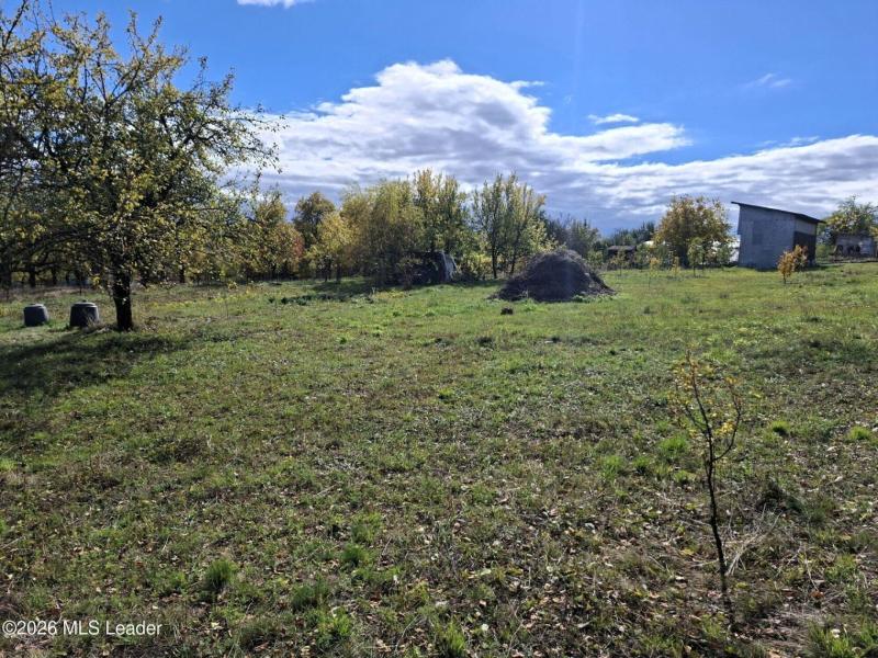 Priveliste de vis, 5 camere + anexe, teren 7000 mp, gata de mutat ...