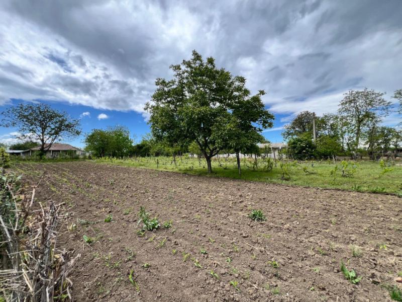 Casa + teren 4430 mp, vie si pomi fructiferi, 22 km de Tecuci, Tecucelu ...